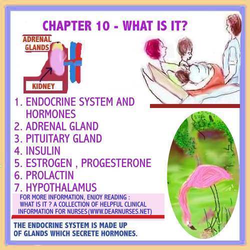 Dear Nurses: October 2011