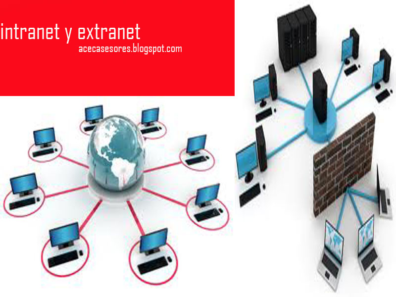 La organizacion sin Fronteras y Redes Externas e Internas