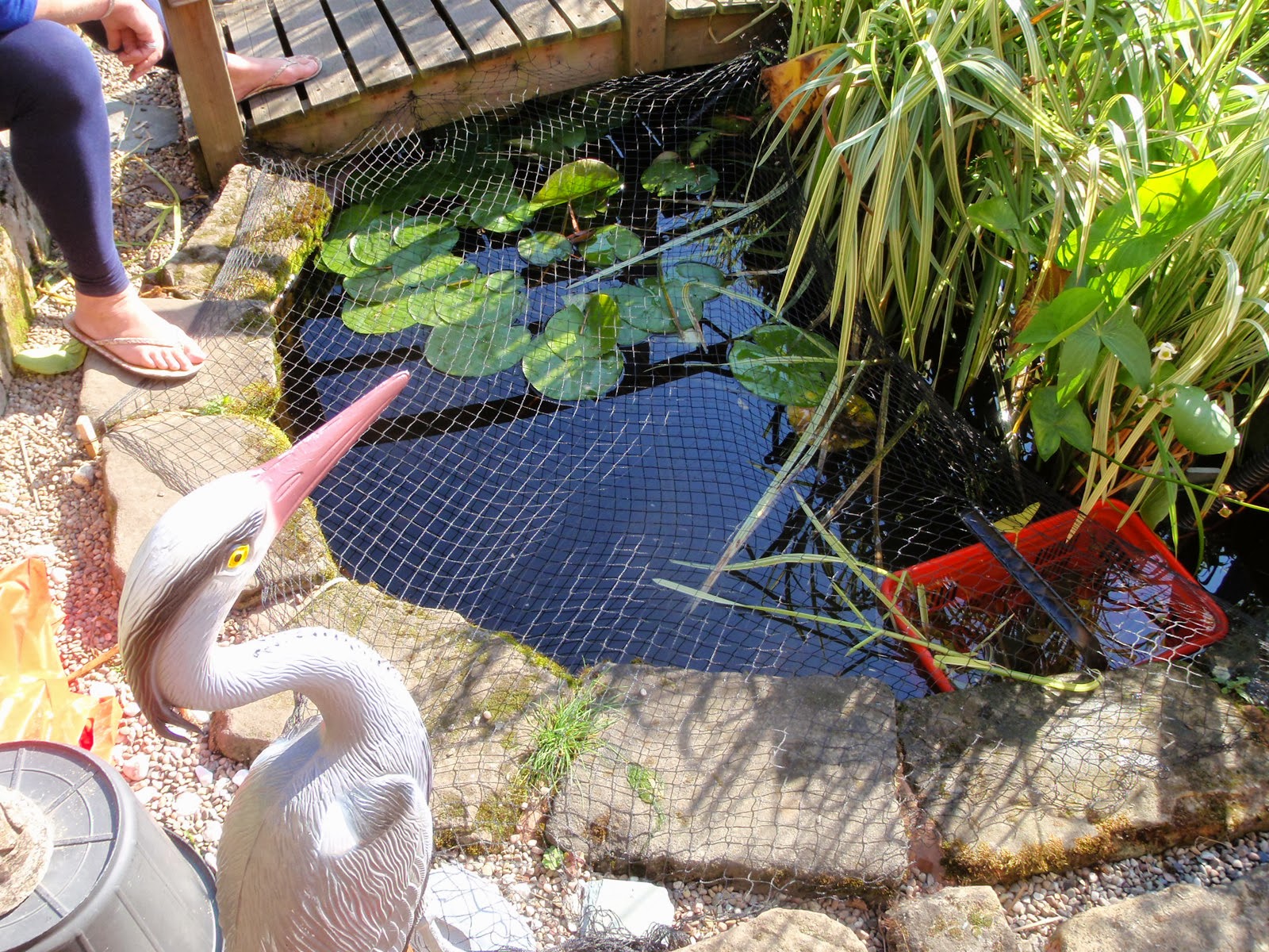 Mikes weather bits & Photo Blog: Plastic Herons don't frighten off real ...