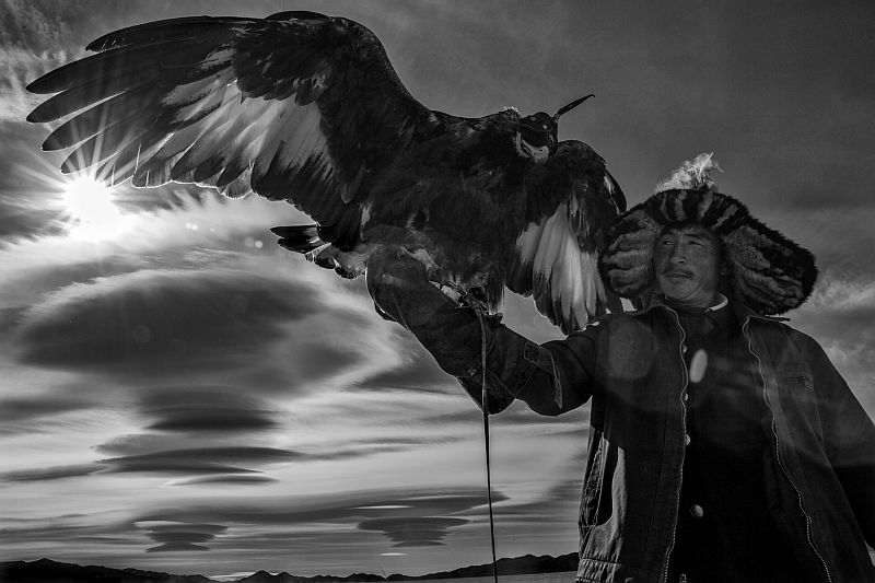 El Hurgador [Arte en la Red]: Palani Mohan [Fotografía]