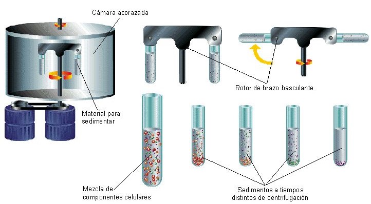 Centrifugación