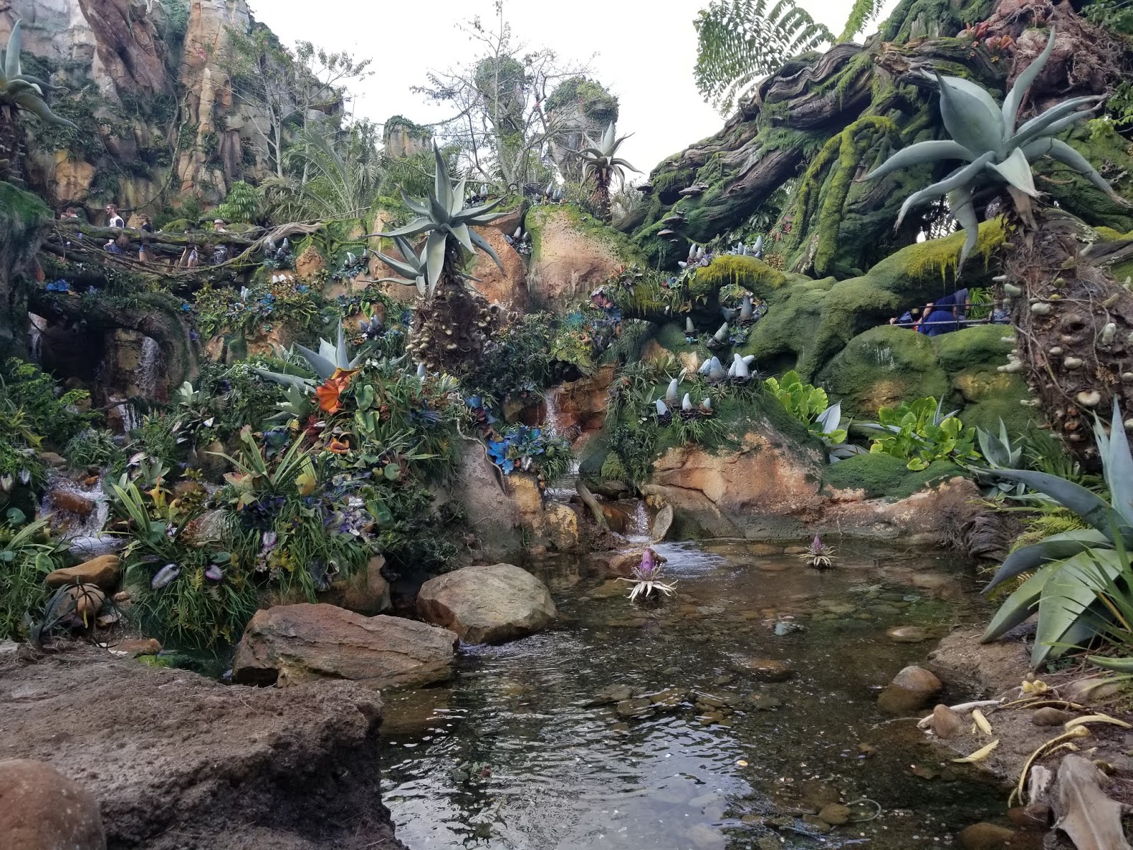 Pandora-the flight of passage Or the navi river journey - VISIT AND ...