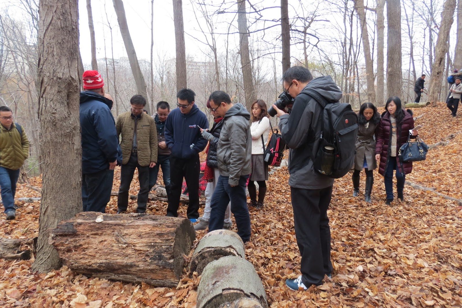 Adventures in PEI and Beyond!: Forest Valley - A Toronto District ...