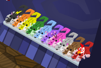 Animal Jam's Plushie Collection: Wolf Plushies