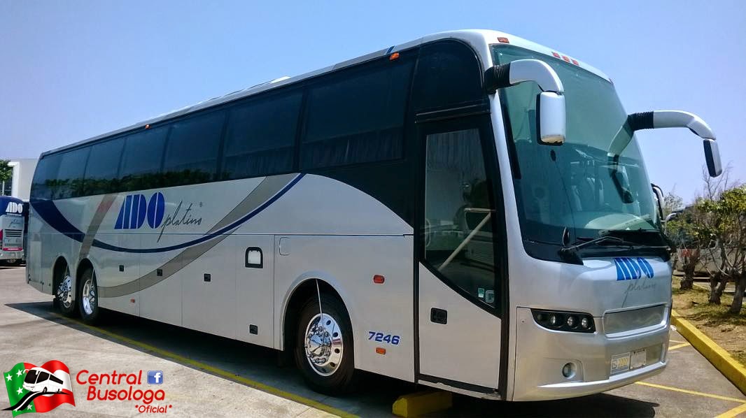 o.OCentral BusologaO.o°•: ADO Platino