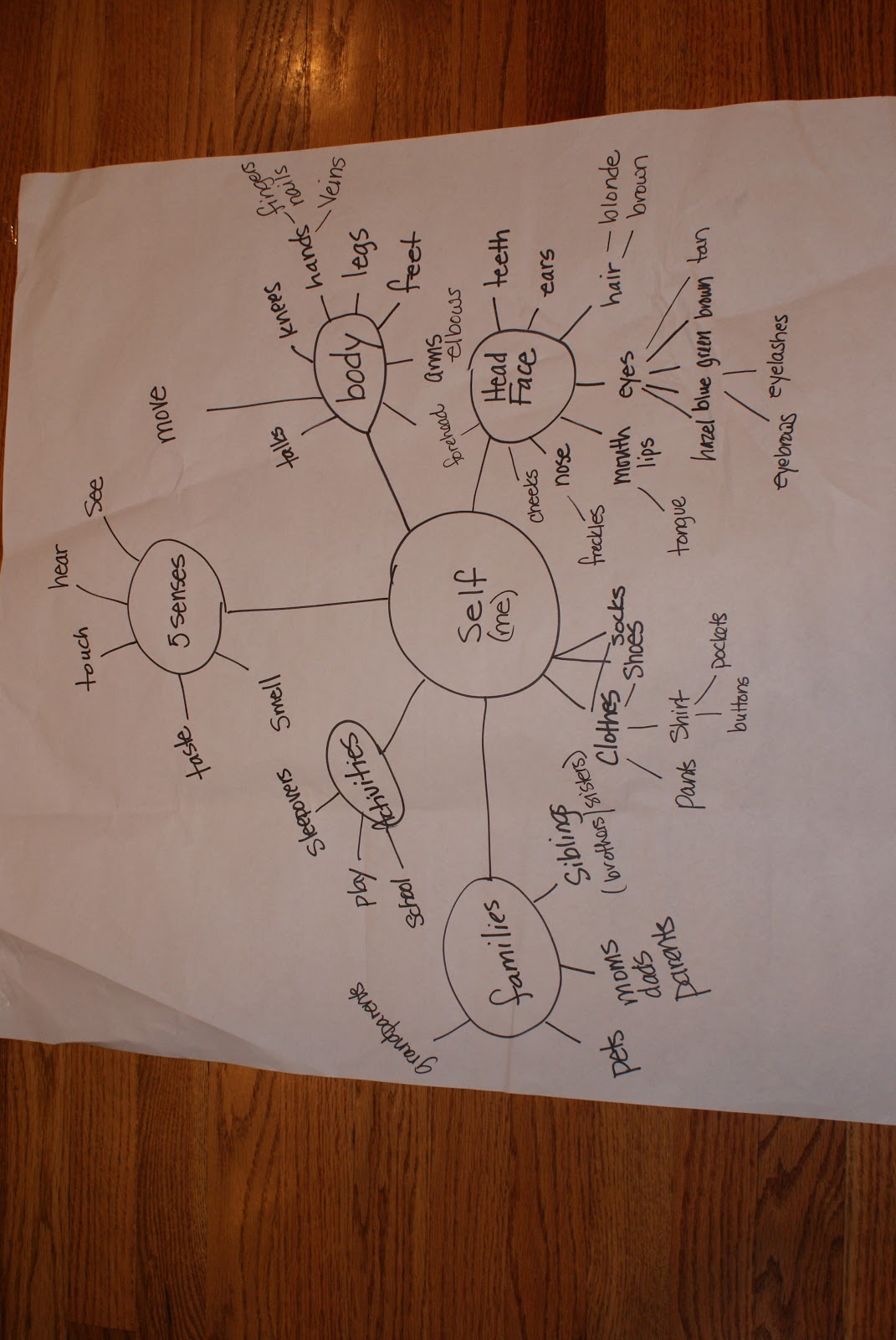 Visible Thinking Routines: Concept Maps