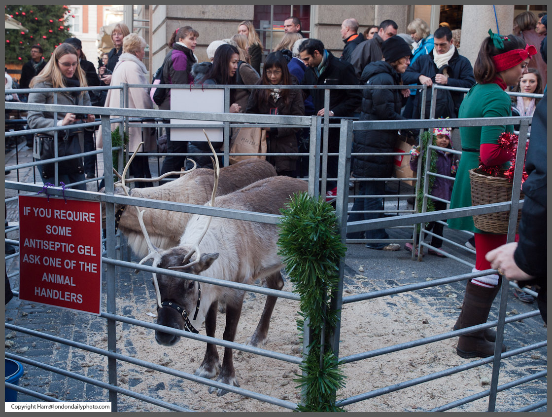 London Daily Photo: December 2011