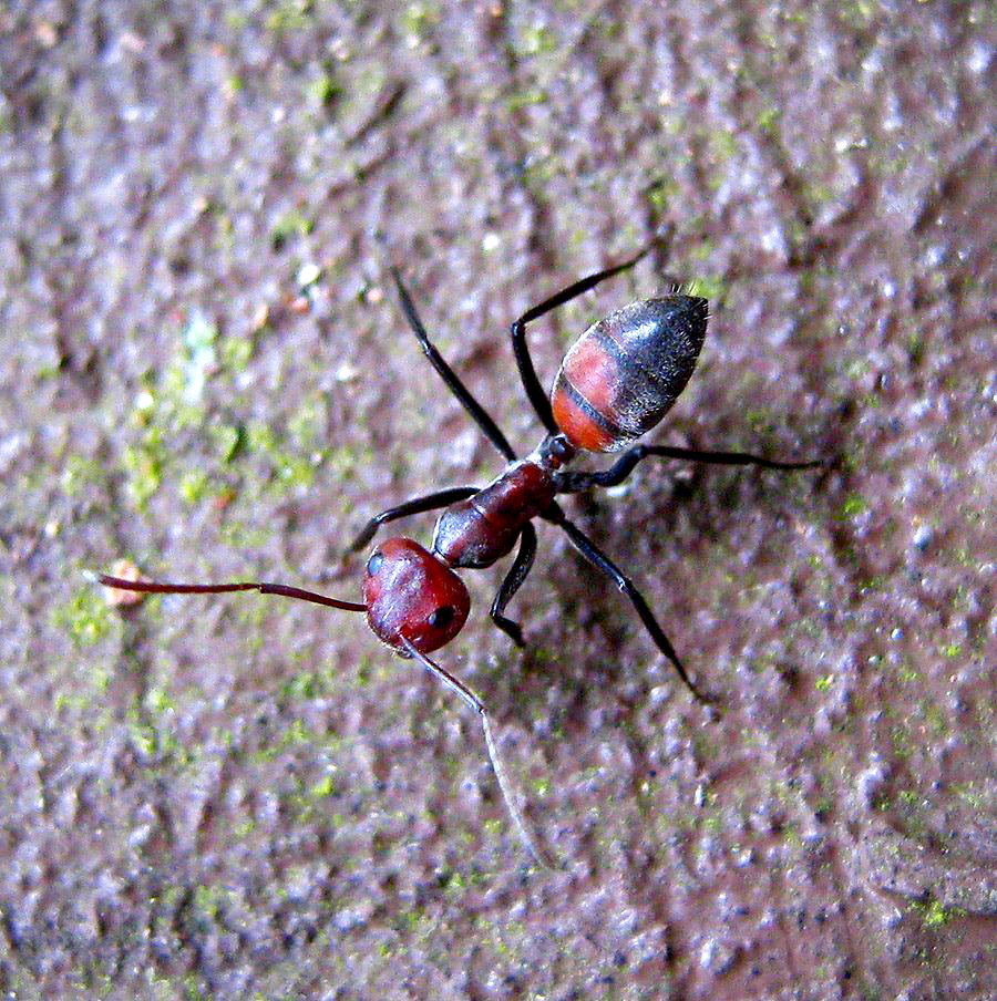 Exploring the Endangered Wonders