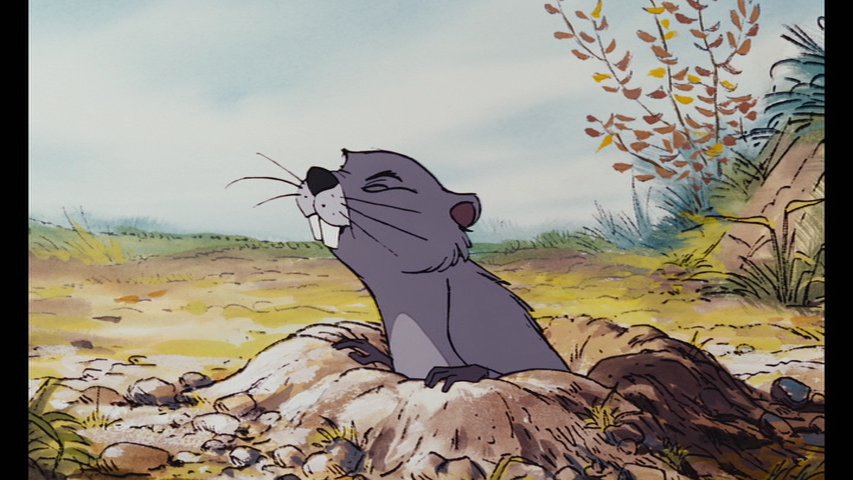 The New Adventures of Winnie The Pooh: The Many Adventures of Winnie ...