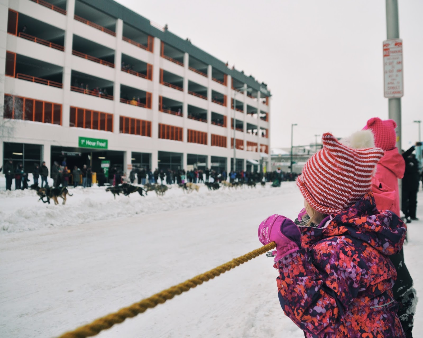 Heart Alaska: Fur Rondy Sled Dog Races