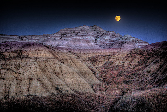 Manuels Photography : Depth Of Field