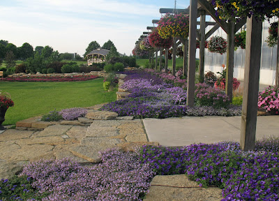 I wanna know their secret rabbit repellant, cause we didn't see one ...