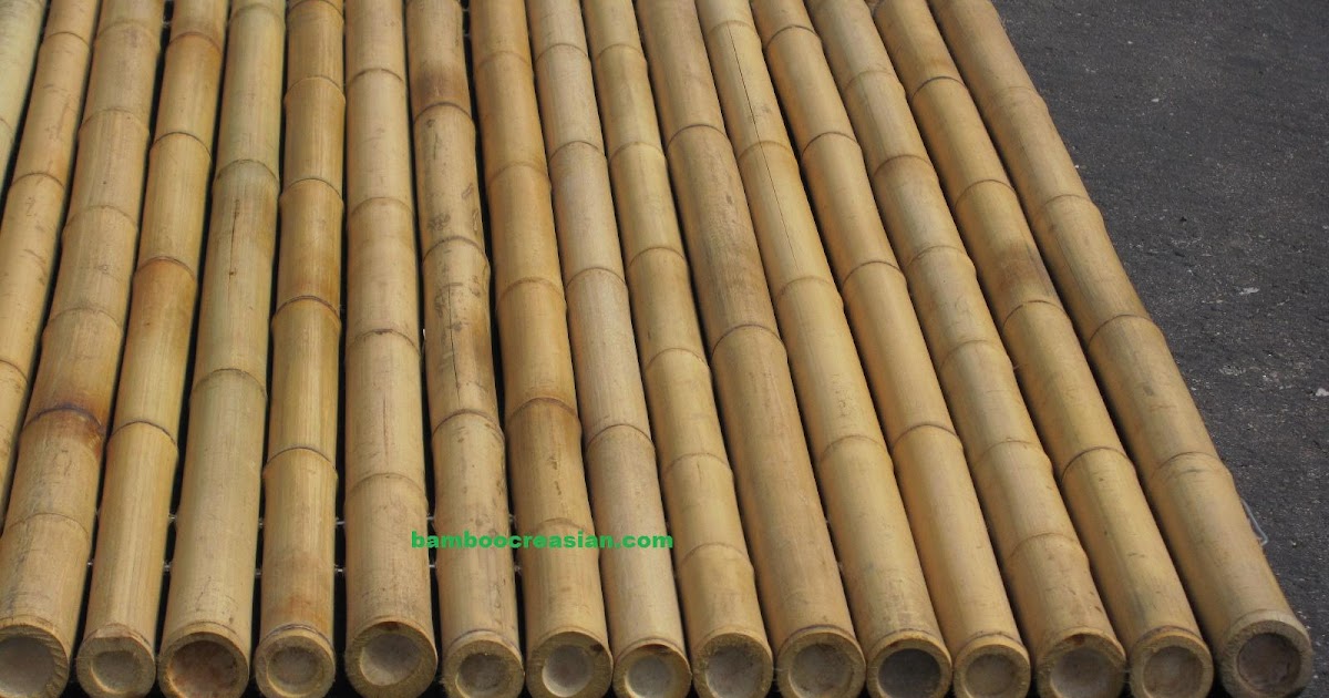 Creasian's Fencing-6'(ft) Bamboo Fencing (rolls) 1''(dia)-8'(ft) Rolled ...