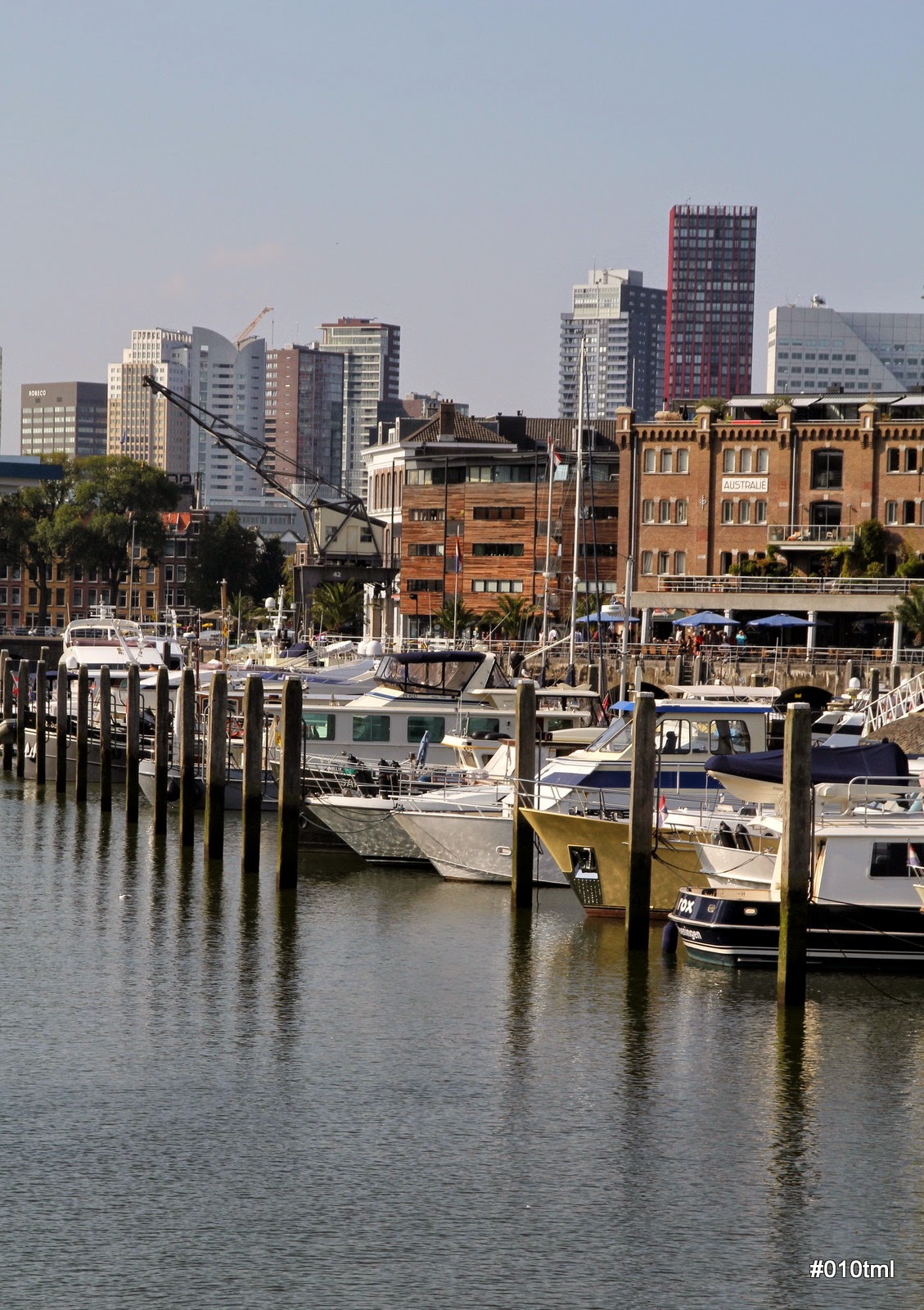 Rotterdam through my lens: Prachtig wonen en genieten op Kop van Zuid