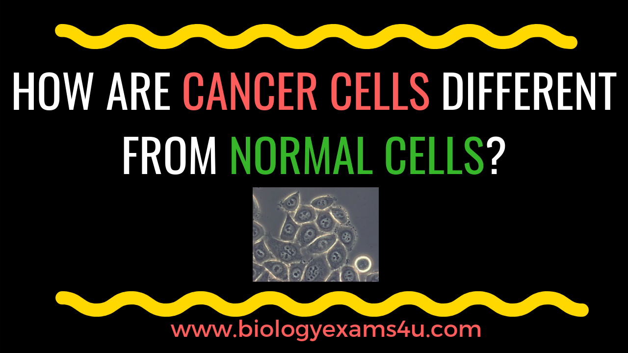 Characteristics of Cancer cells: How Cancer cells are different from ...