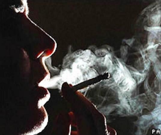 PORTAL DO CATITA: Maconha - Os danos de fumar maconha