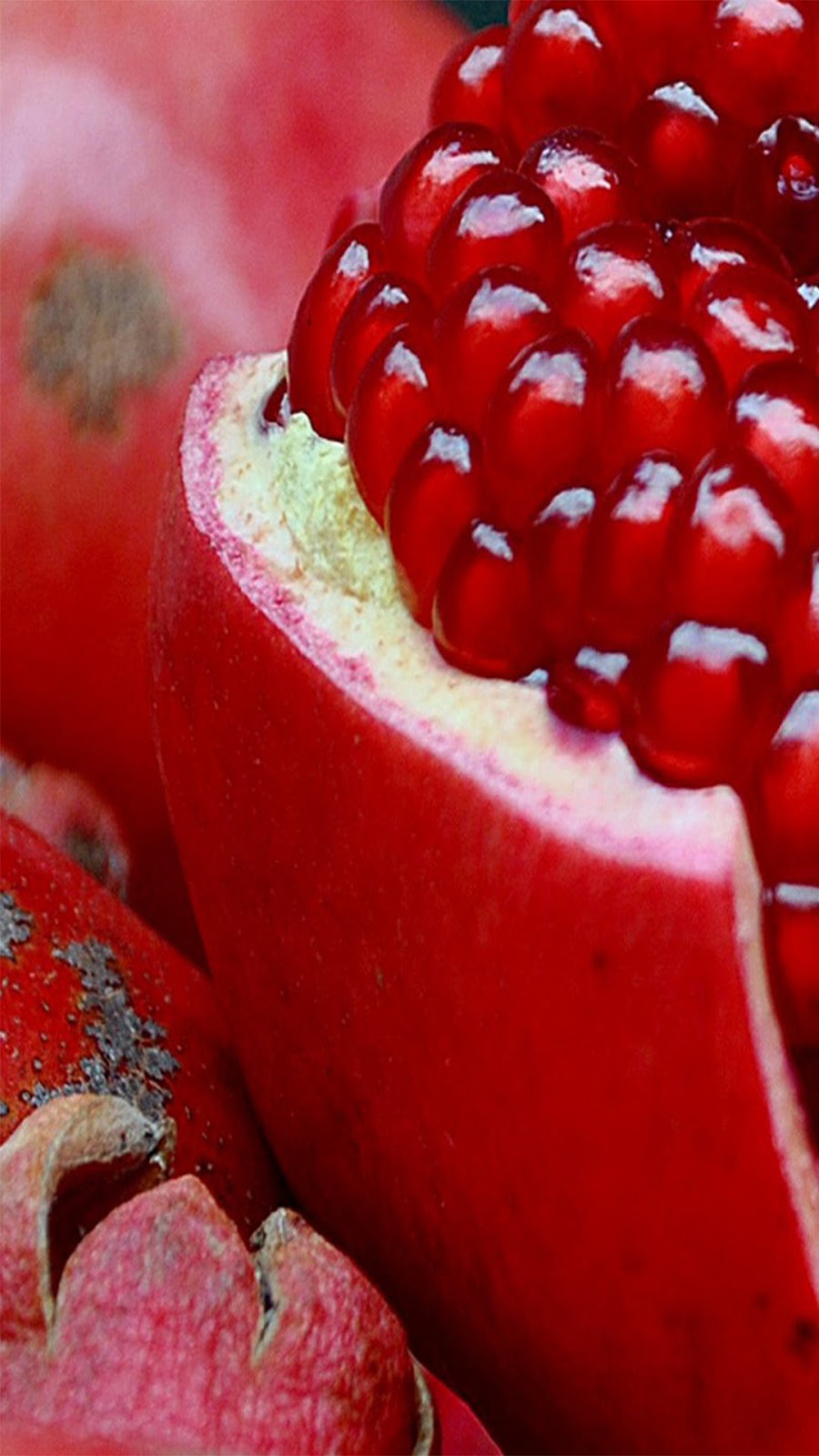 Fondo android pack 39