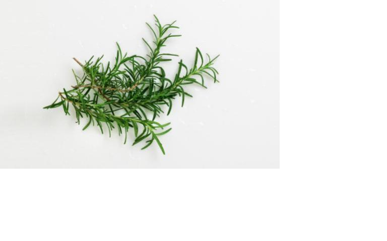 El Romero y sus propiedades