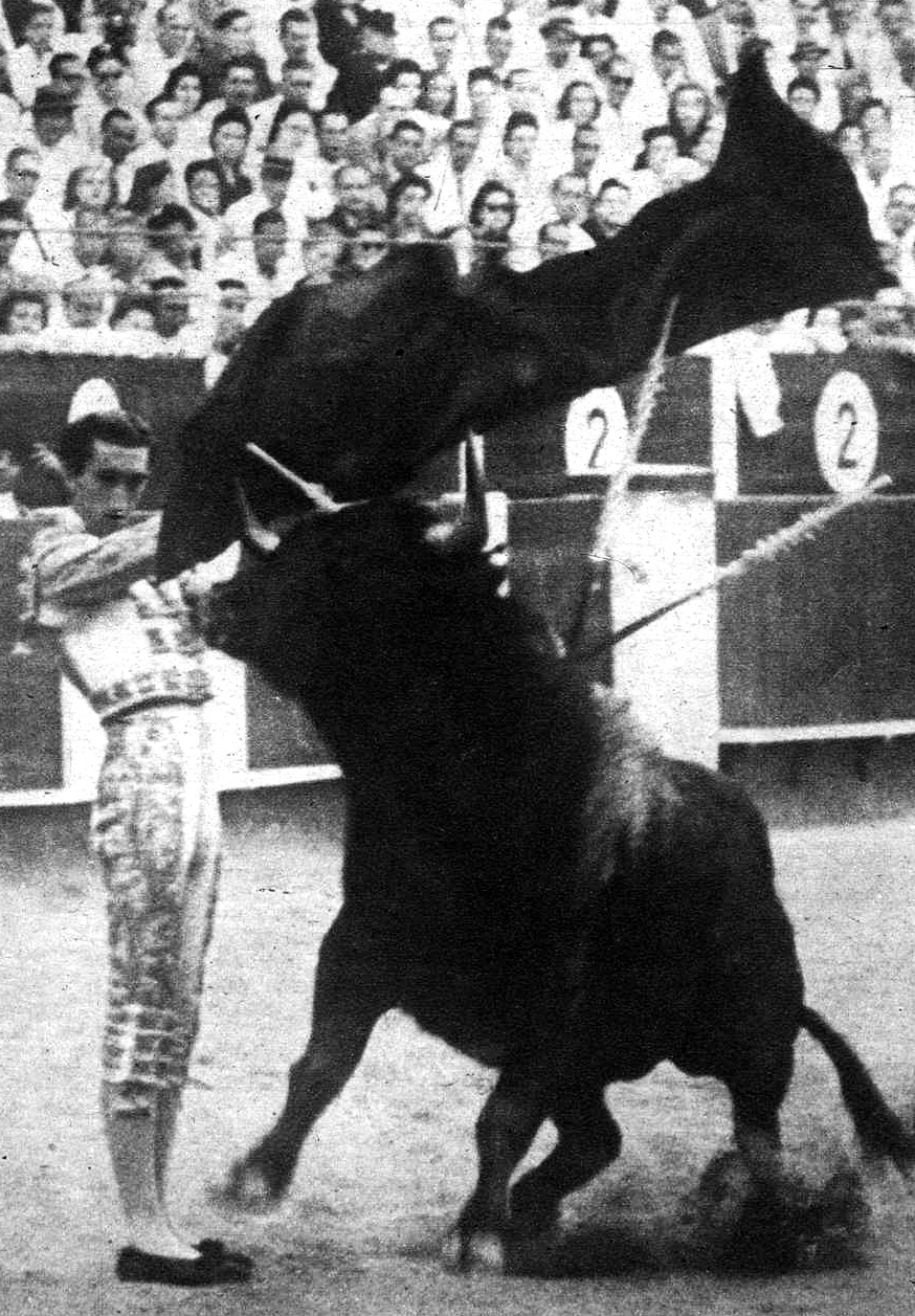 La razón incorpórea: Manolete. La culminación de un sueño (VII) De ...