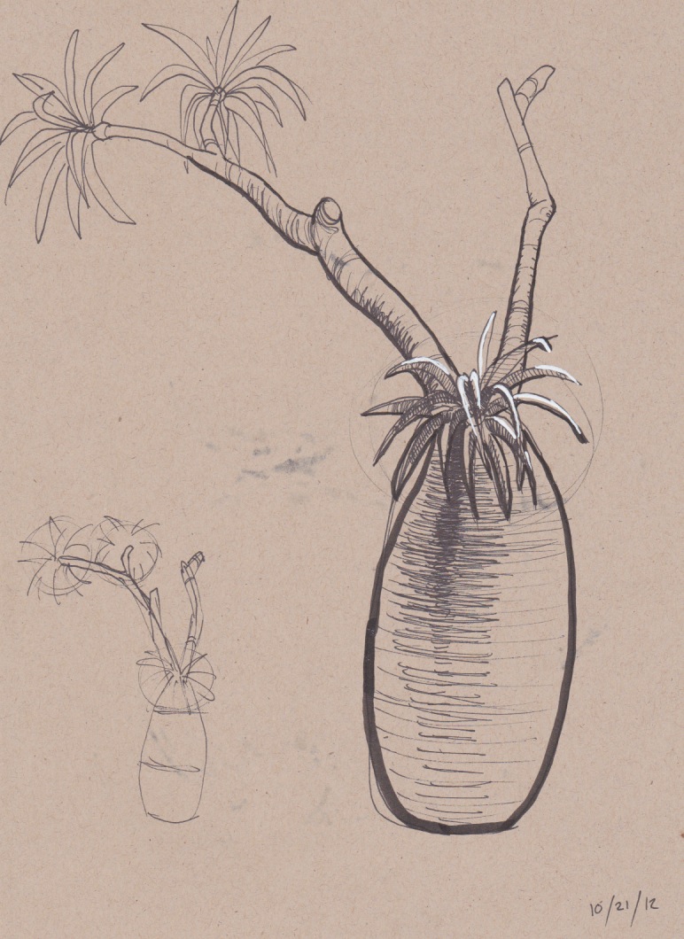 Gina Draws . . .: Dynamic Sketching Week 3