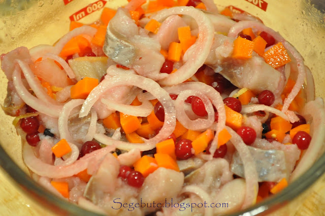 SEGEBUTĖS UŽRAŠAI: 2012-12