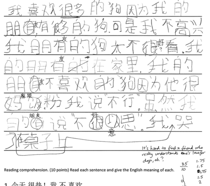 Ignite Language: Chinese 1 semester 2 exam essays