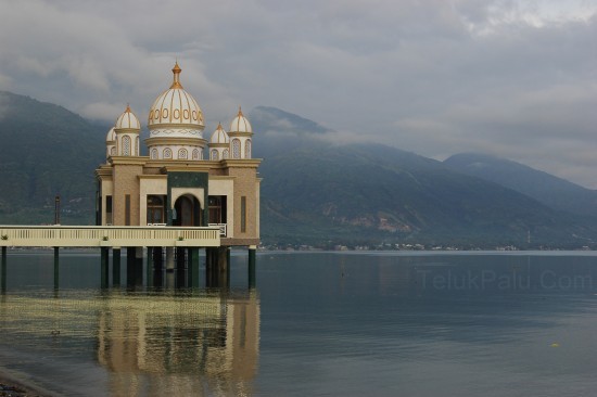 Apa sih Kota Palu itu? | Never Give Up