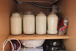 Cultural Cooking: Farmer's Cheese Recipe (Tvorog)