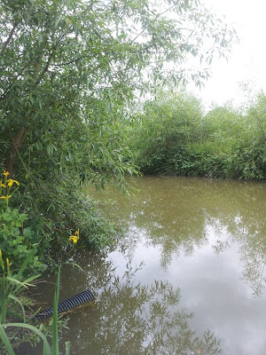 UK fishing venues: Highfield Fishery - Venue Review