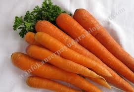 InfoKanserPayudara: Menu Sihat Dengan Lobak Merah