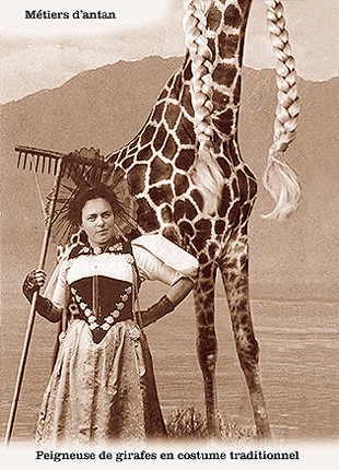 Comment ça se dit en français?: peigner la girafe