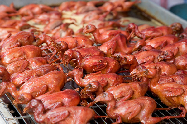 BỒ CÂU TRẮNG: Món ăn từ chim bồ câu