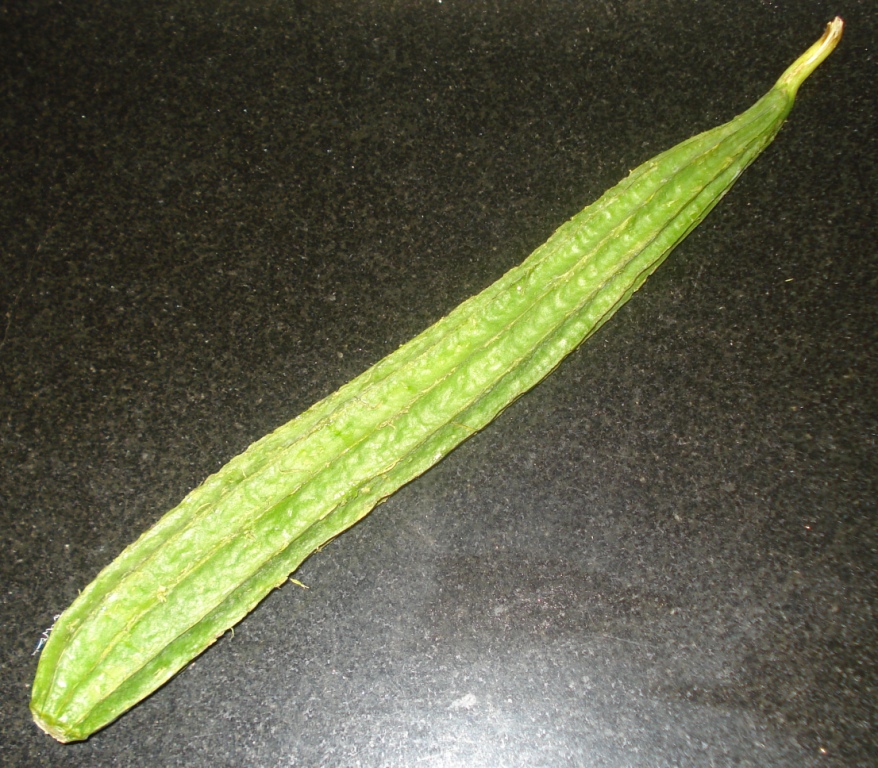 Recipe Collection: Vegetables