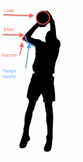 Biomechanics of the Jump Shot