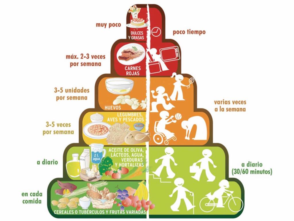 La Muela Molona : La pirámide de los hábitos saludables.
