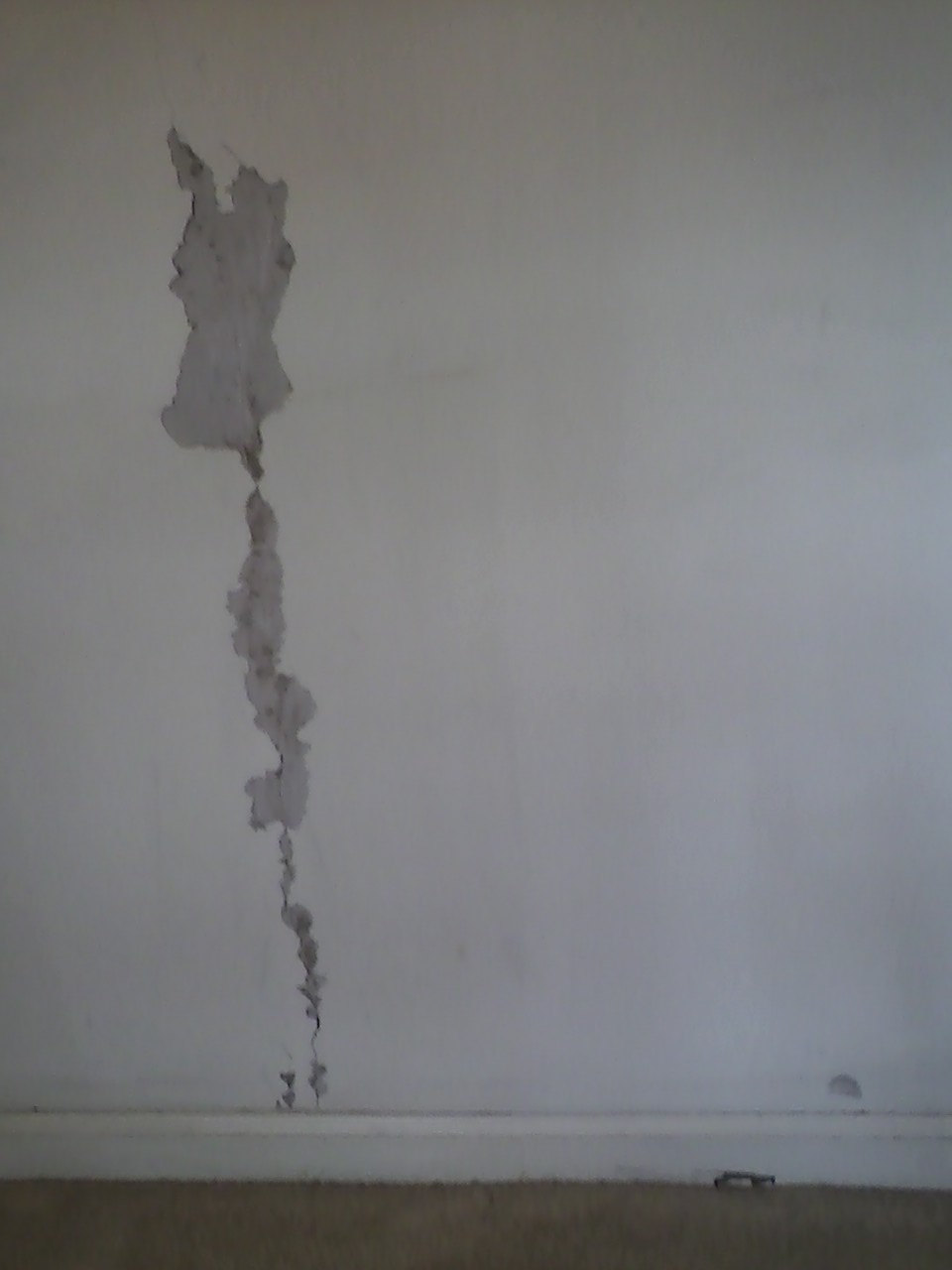 Laura's Legacy: Termite damage