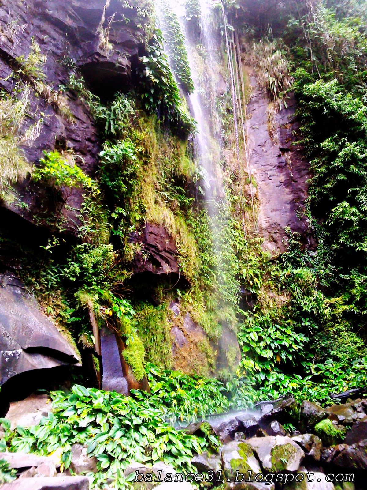 NATURE TRIPPING WITH CONSOCEP FALLS