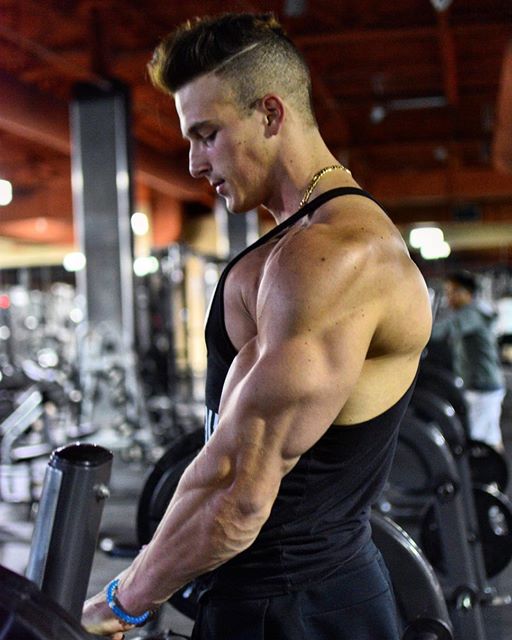 the beauty of male muscle: Brandon