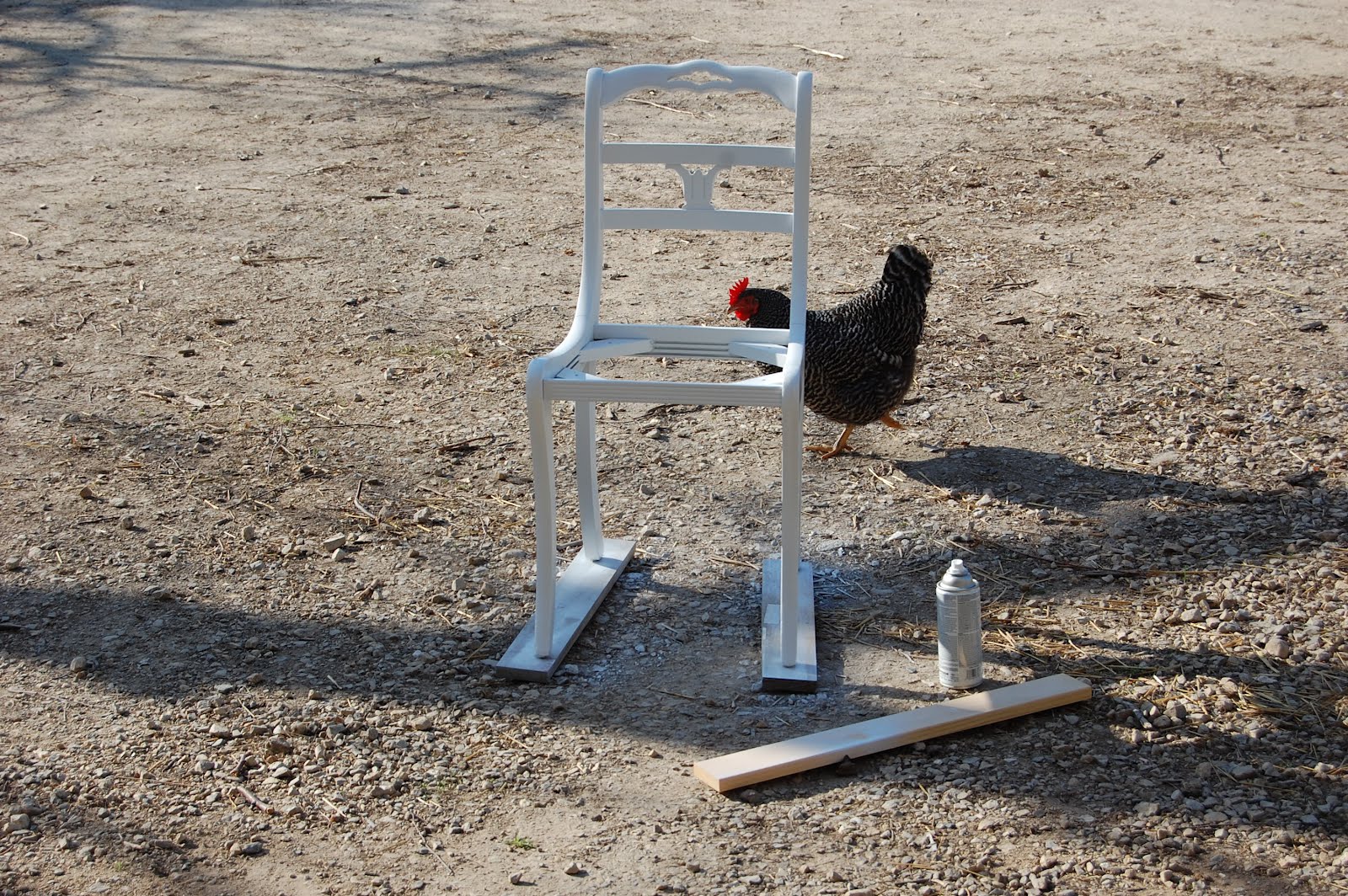 Cherry Blossoms & Chickens: DIY chair