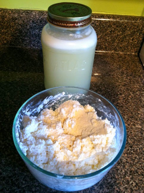 Homestead Catholic: Homemade Raw Milk Cream Cheese & Whey