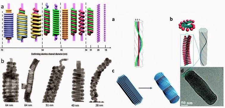 800 million: Vortex Loops, Helical Spring and Hair Vortex