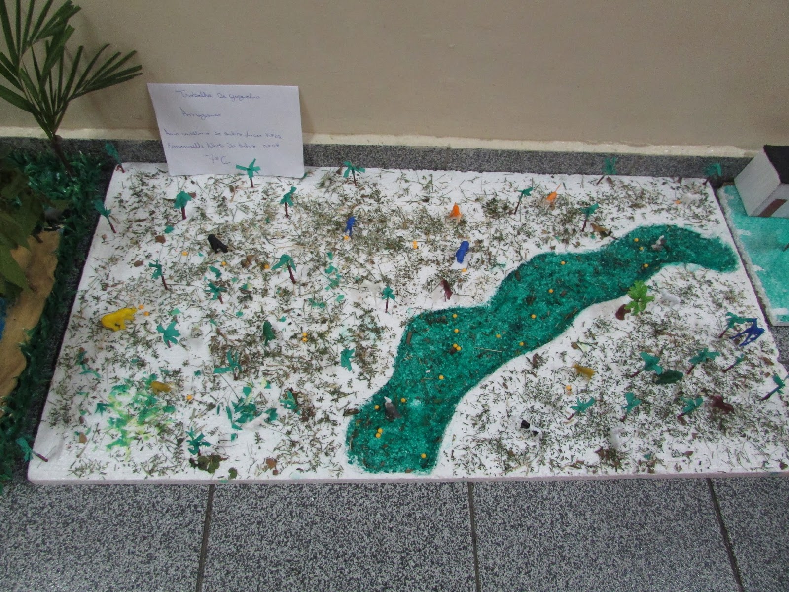 EMEF AYRES MARTINS TORRES: Ciclo Interdisciplinar