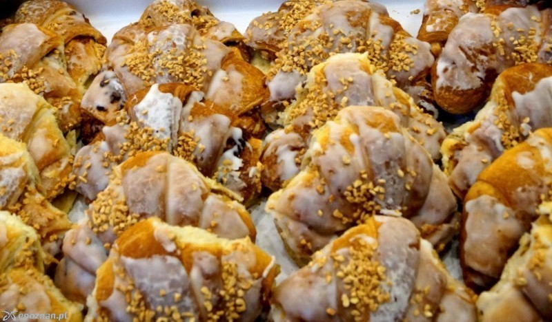 Poland-Our Future: Rogala