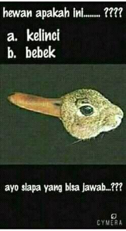 100 Meme Lucu Teka Teki Dan Tebak-Tebakan Bikin Ngakak - Meme Kocak ...