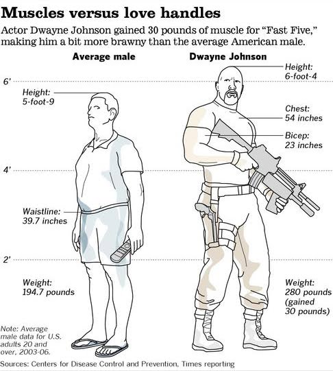 Average American Man