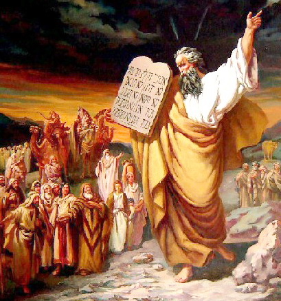 The paradise of the Red Sea: The paradise of the Red Sea