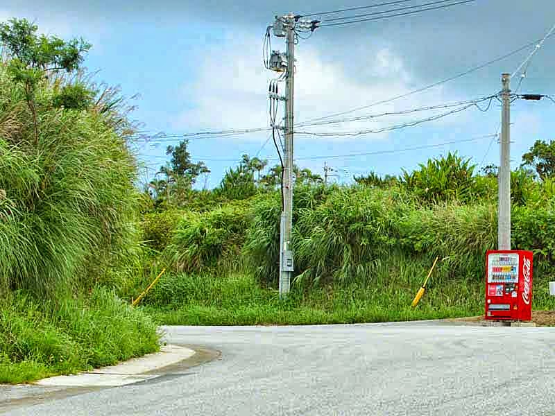 Ryukyu Life: Traveling Around the Kin Dam -- Photos and Commentary