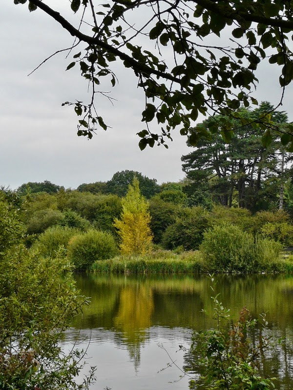 Cindy's Snaps: Hatfield Forest (stomping ground of my Hatfield Broad ...