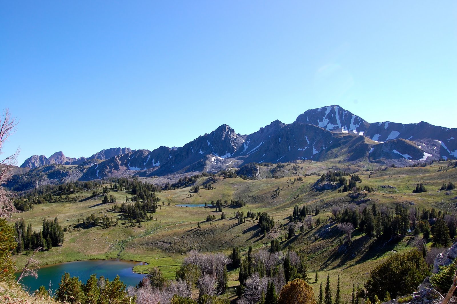 Hatcheteering:: Hell Guard (Hilgard)