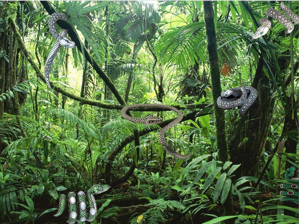 STELLA UN TESORO DEL MARE: Parrini Marcello gioiellieria / orologeria ...